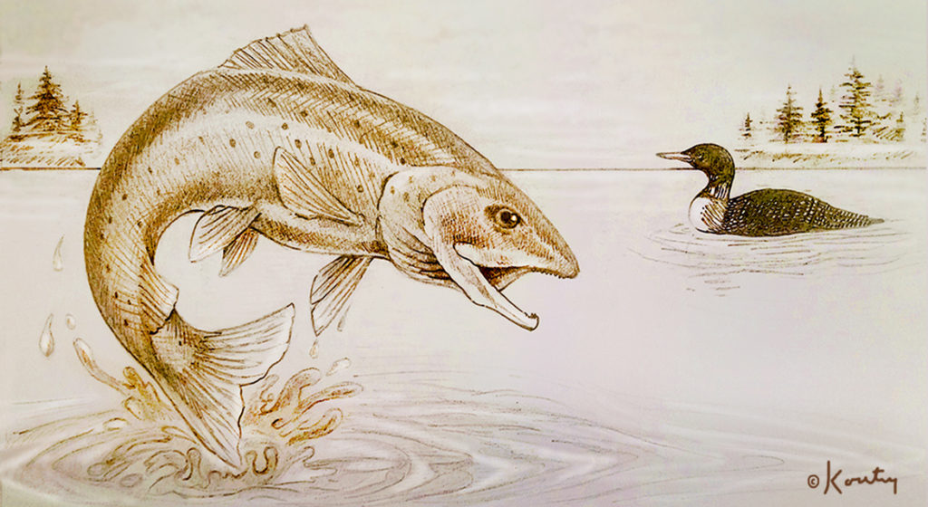 Grenville: Fish and Fowl | Faith Hope & Fiction